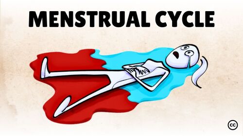 How Periods And Hormones Impact Mood [Menstrual Cycle] | TPT