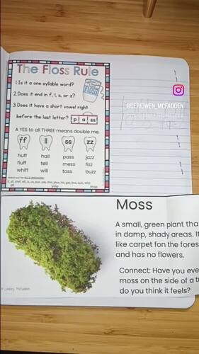 Floss Rule Bundle - Worksheets, Games, Phonics Cards, Anchor Charts, +MORE