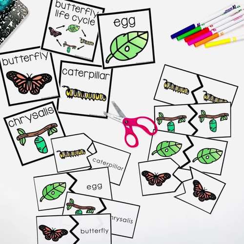 Butterfly Life Cycle Activities and Word Wall for PreK and Kindergarten