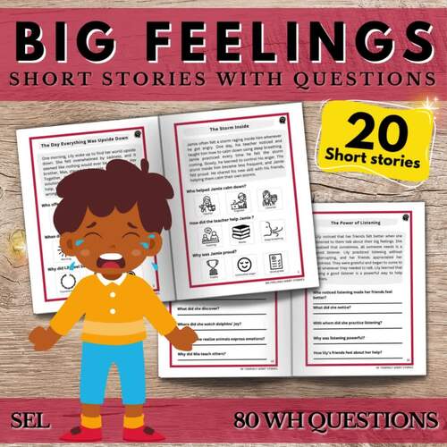 Big Feelings 20 Short Stories W/ WH Open Questions Autism Reading Worksheet