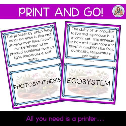 Environment Vocabulary Hunt Gallery Walk, Grade 6, Australian Science ...