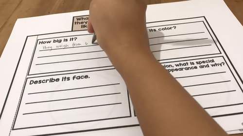 Winter Animal Research Simple Book Project about Arctic Fox | TpT