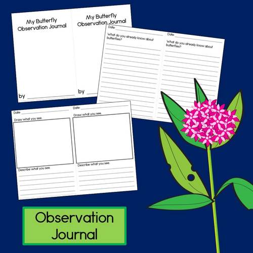 Butterfly Observation Journal and 3 Part Life Cycle Cards Spring Science