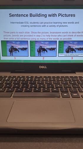 Build a Sentence Google Slides Activity: Writing & Speaking, Beg ...