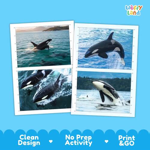 Orca Cut and Match Activity | Winter Killer Whale Animals Fine Motor Center