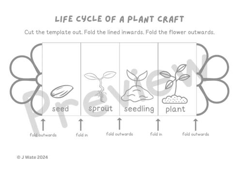 Sunflower Plant Life Cycle Activity Pack & Spring Craft Worksheets