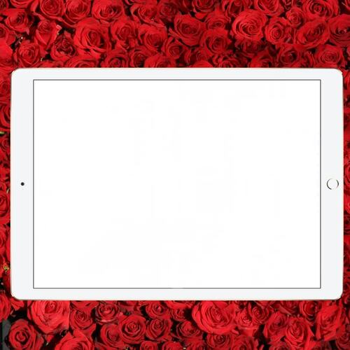 Find the Valentine Shapes | BOOM CARDS with audio | SQUARE | TPT