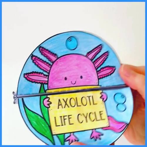 Life cycle of an axolotl sequencing cut and paste craft activity and ...