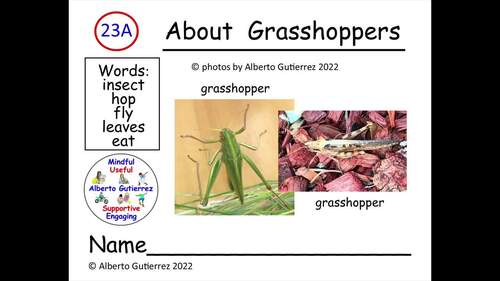 Nonfiction: About Grasshoppers #23A by ALBERTO GUTIERREZ | TPT