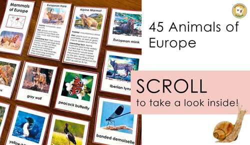 45 Animals of Europe Montessori 3 Part Cards & Information by ...