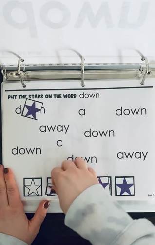 Dolch Pre-Primer Adapted Book Binders - Physical & Digital - Google Slides