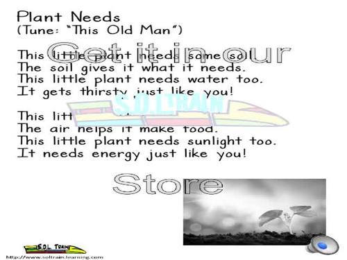 Plant Needs Emergent Reader for Kindergarten and First Grade | TpT