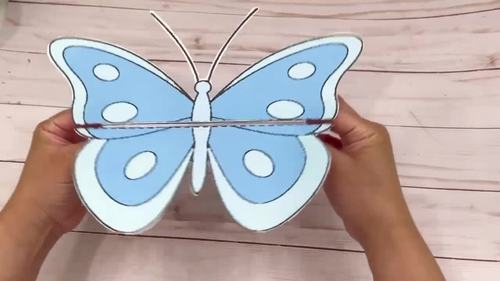 Insect Life Cycle Bundle by Liv and Leb | Teachers Pay Teachers