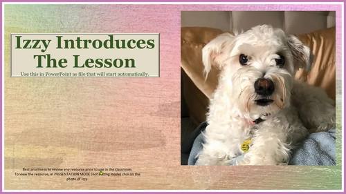 Ready to Use INCLUSION Diversity Tolerance Exclusion Bulling SEL LESSN ...