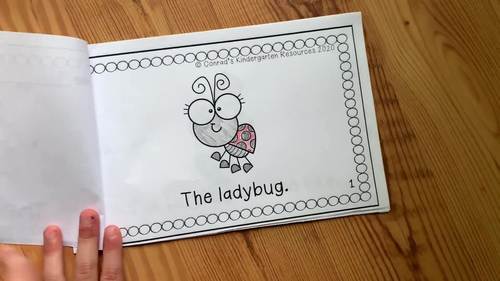 Sight Word Books for Kindergarten / Reading Comprehension for Kindergarten