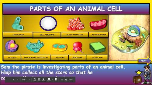 Parts Of An Animal Cell: Google Slides, Distance Learning + PPT + Worksheet