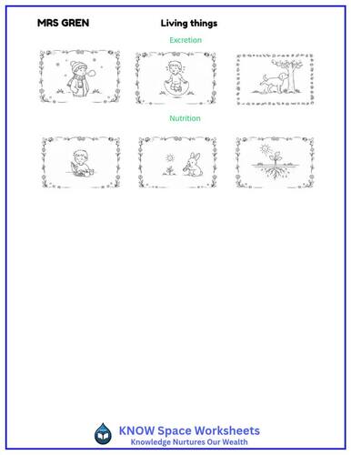 MRS GREN Living Things Activity Cards Characteristics of Living Things