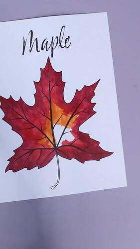 Leaf Coloring Pages for Kids & Adults | Fall Craft Templates | TPT
