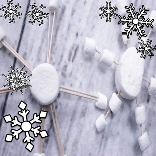 Snowflake Bentley Winter READ ALOUD STEM Activity | TPT