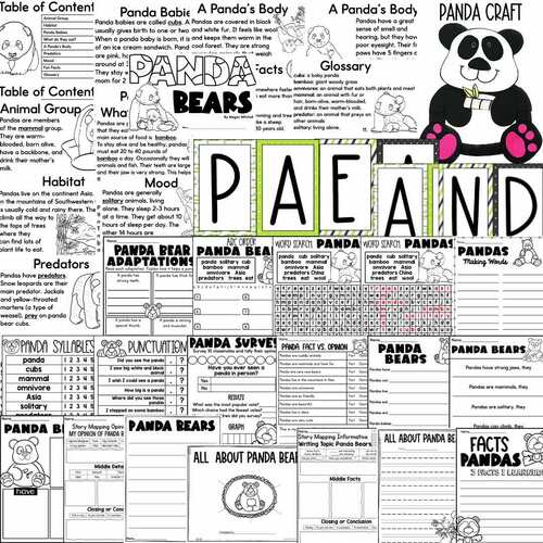 Pandas Nonfiction Unit and True or False Google Slides Activity Bundle