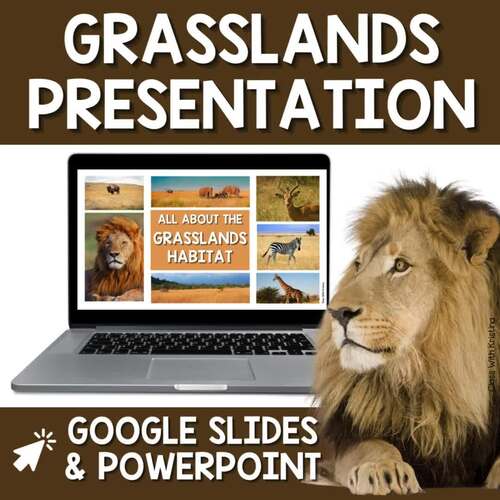 Grasslands Habitat Biome Presentation Google Slides & PowerPoint ...