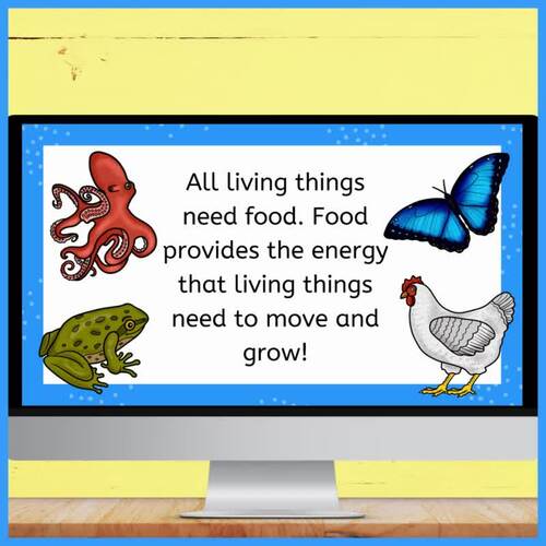 Food chains slideshow Google Slides and PowerPoint presentation lesson