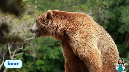 Brown Bear Brown Bear Activities | Movement Exercises for Toddlers and ...