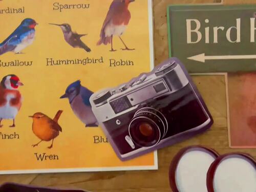 Bird Watching Dramatic Play Preschool Kindergarten Science Center Bird ...