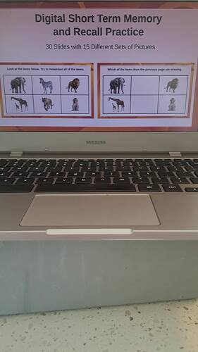 Digital Short Term Memory and Recall Practice: Adult Speech Therapy