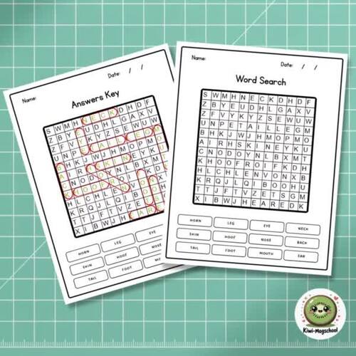 Rhino Body Parts Anatomy Labeling | Safari Animal Science Activity (No ...
