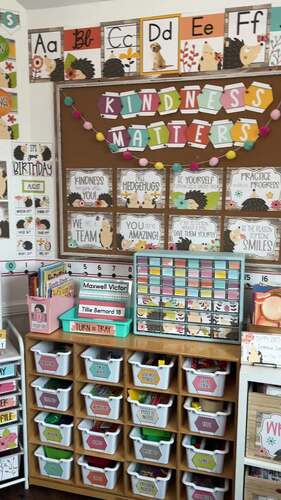 Hedgehog Theme Classroom Decor BUNDLE with Shiplap & Flowers | TPT