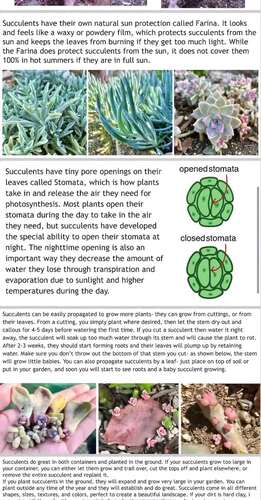 Succulent and Cactus Lesson- Plant Science Lesson by Life Succs Without ...