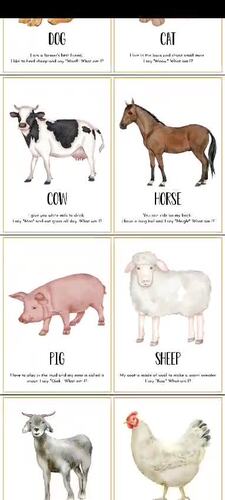 Farm animal flashcards | Guessing riddles. by TDET Miss Laura | TPT