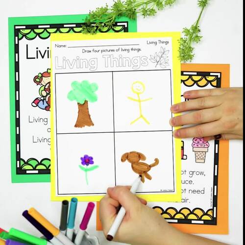 Living and Non living Things Worksheets for Kindergarten and 1st Grade ...
