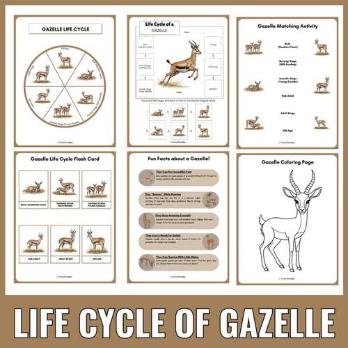 Gazelle Life Cycle: African Grassland Animal Science Unit Study & Fun Facts