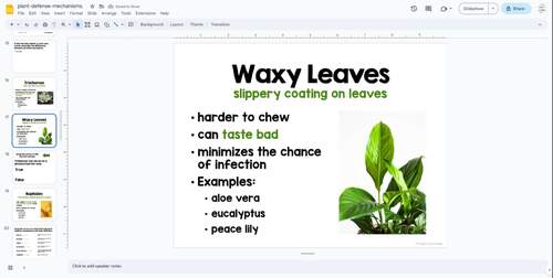 Plant Defense Mechanisms Interactive Lesson | TPT