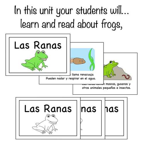 Las Ranas - Spanish Nonfiction Writing Unit by Robin Shelton | TPT
