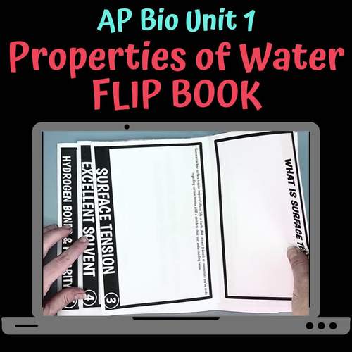 Properties of Water in Biology Flip Book by Science with Cara | TpT
