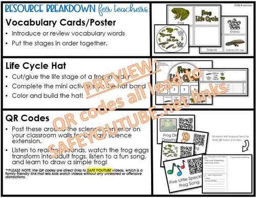 Life Cycle of a Frog l Frogs Research Project | Frog Amphibians ...