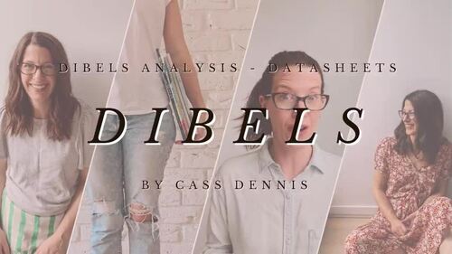 Data Tracking Spreadsheet for DIBELS 8th | Year Six | Google Sheets ...