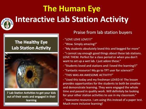 The Human Eye - 7 Engaging Lab Station Activities by Teach With Fergy