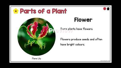 Plant Unit with Digital Slideshow and Printable Activities | TPT