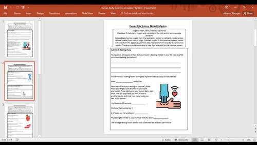 Human Body Systems Unit: Circulatory System Activity Set by Scaffolded ...