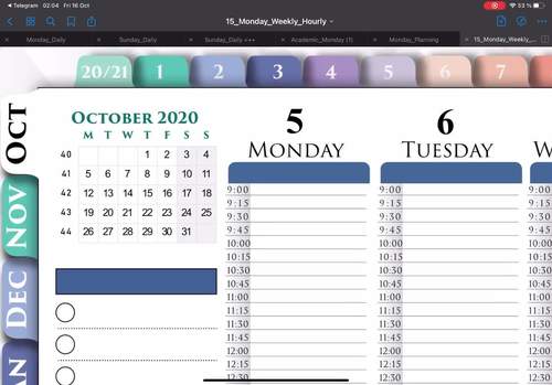 Digital 15 Minutes Hourly Weekly Planner iPad 2021 2022 Journal PDF ...