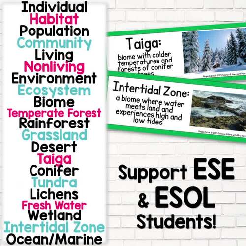 Biomes Science Vocabulary Word Wall Posters by Science & More with Mrs ...