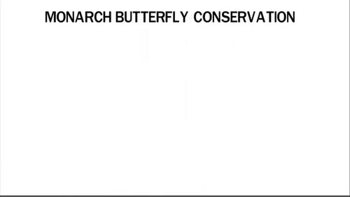 The Endangered Monarch Butterfly | Video, Handout, and Worksheets