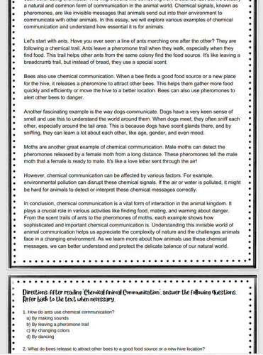 Chemical Animal Communication Reading Worksheet | Animal Behavior & Writing