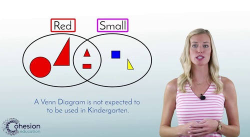 Classify And Count Objects By Color Shape And Size By Cohesion Education