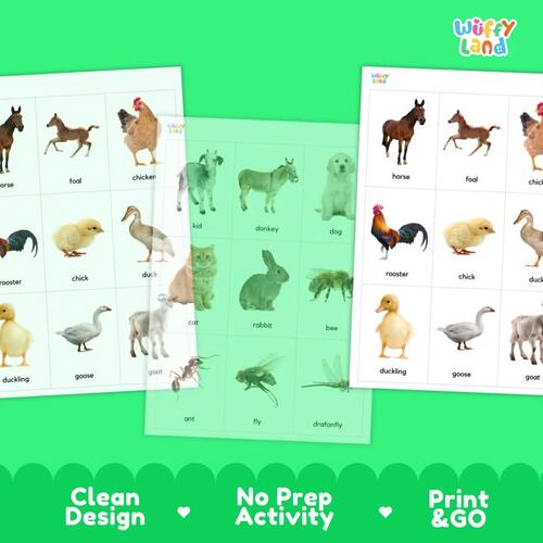 Farm Animals Flashcards | Realistic Animal Vocabulary Cards ESL by ...