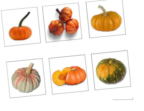 It's Fall Y'all Realistic Magnetic Tile Decor Stickers (Printable)